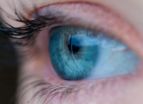 Anatomie de l'oeil humain - Docteur Aurélien Hay